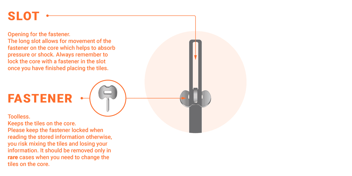 Anatomy of the Capsule • Cryptosteel.com