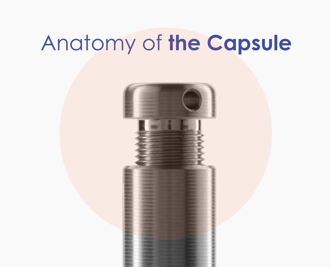 Anatomy of the Capsule • Cryptosteel.com